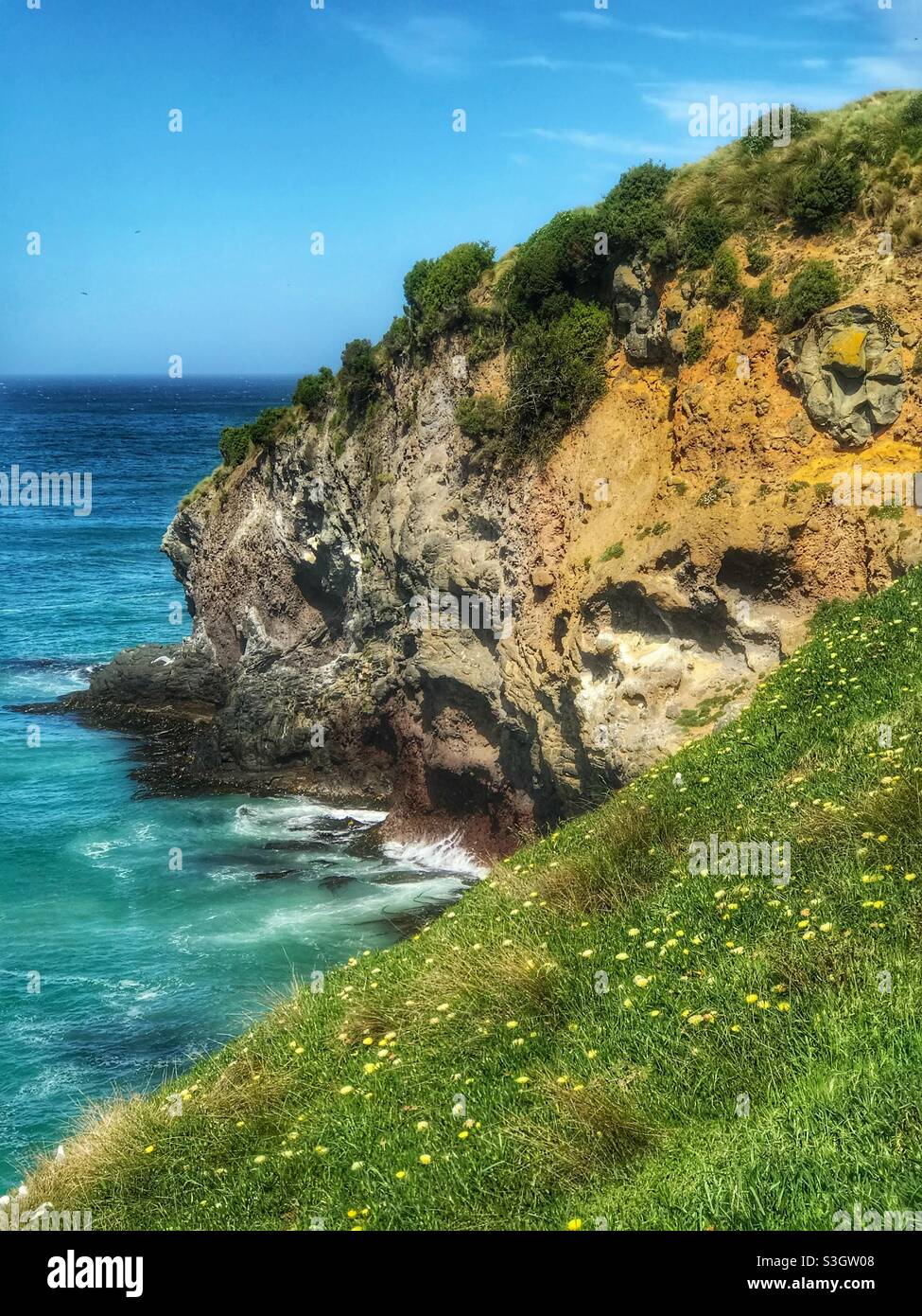 Taiaroa Head, Otago Peninsula, Dunedin, South Island, New Zealand Stock ...