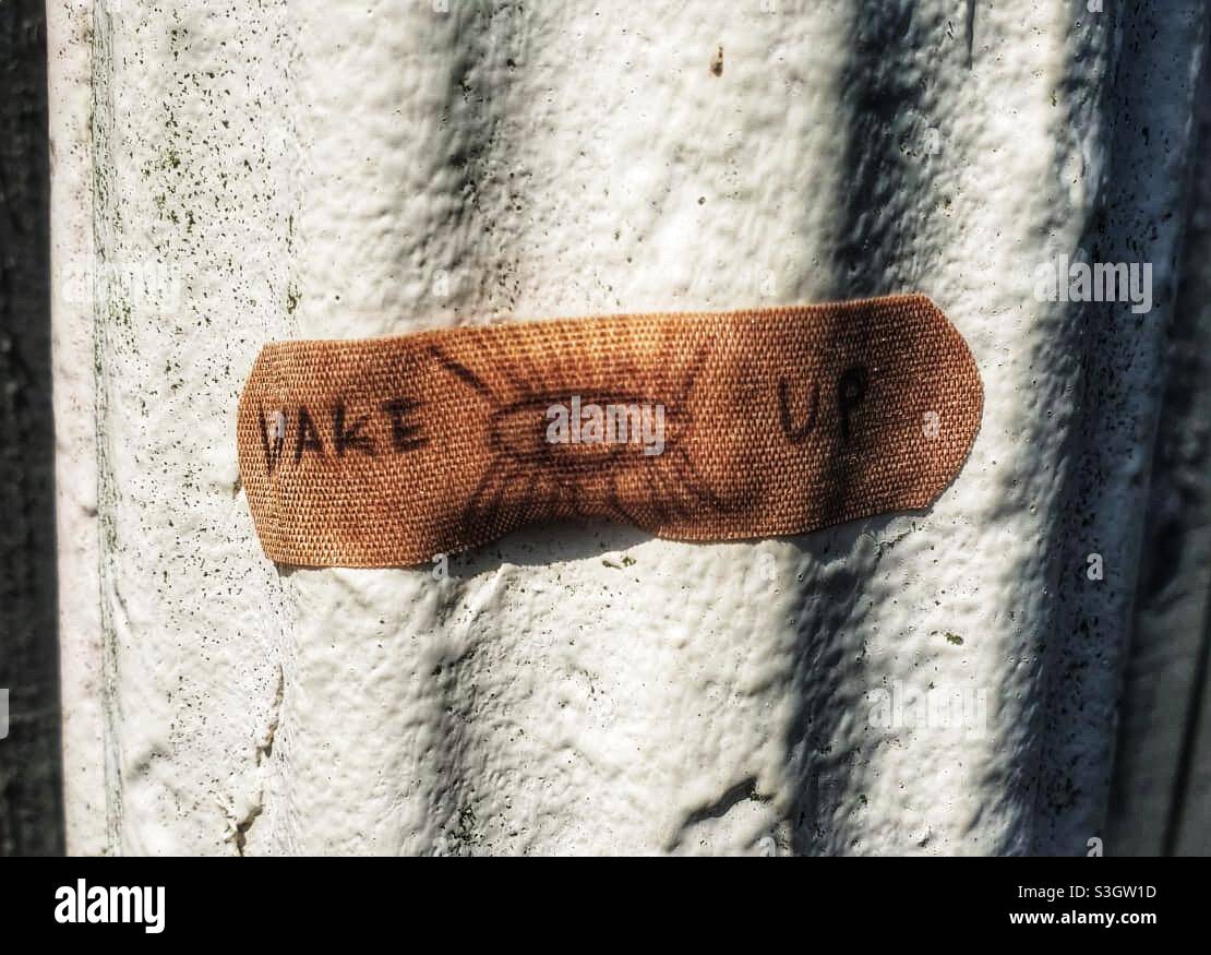Plaster/band aid with ‘wake up’ graffiti on it. Stuck to a lamp post ...
