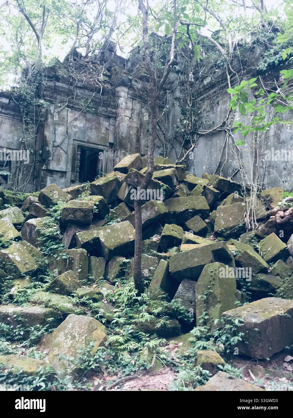 Jungle temple hi-res stock photography and images - Alamy