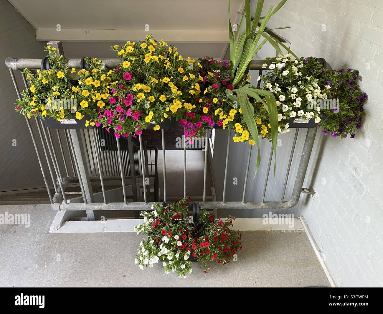 Railing stairs hi-res stock photography and images - Alamy