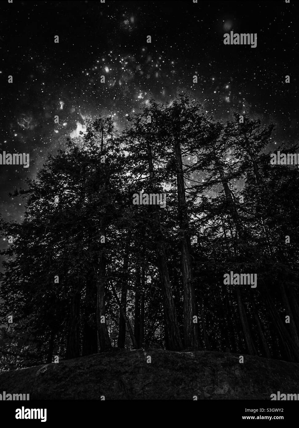 Dense stars hi-res stock photography and images - Alamy