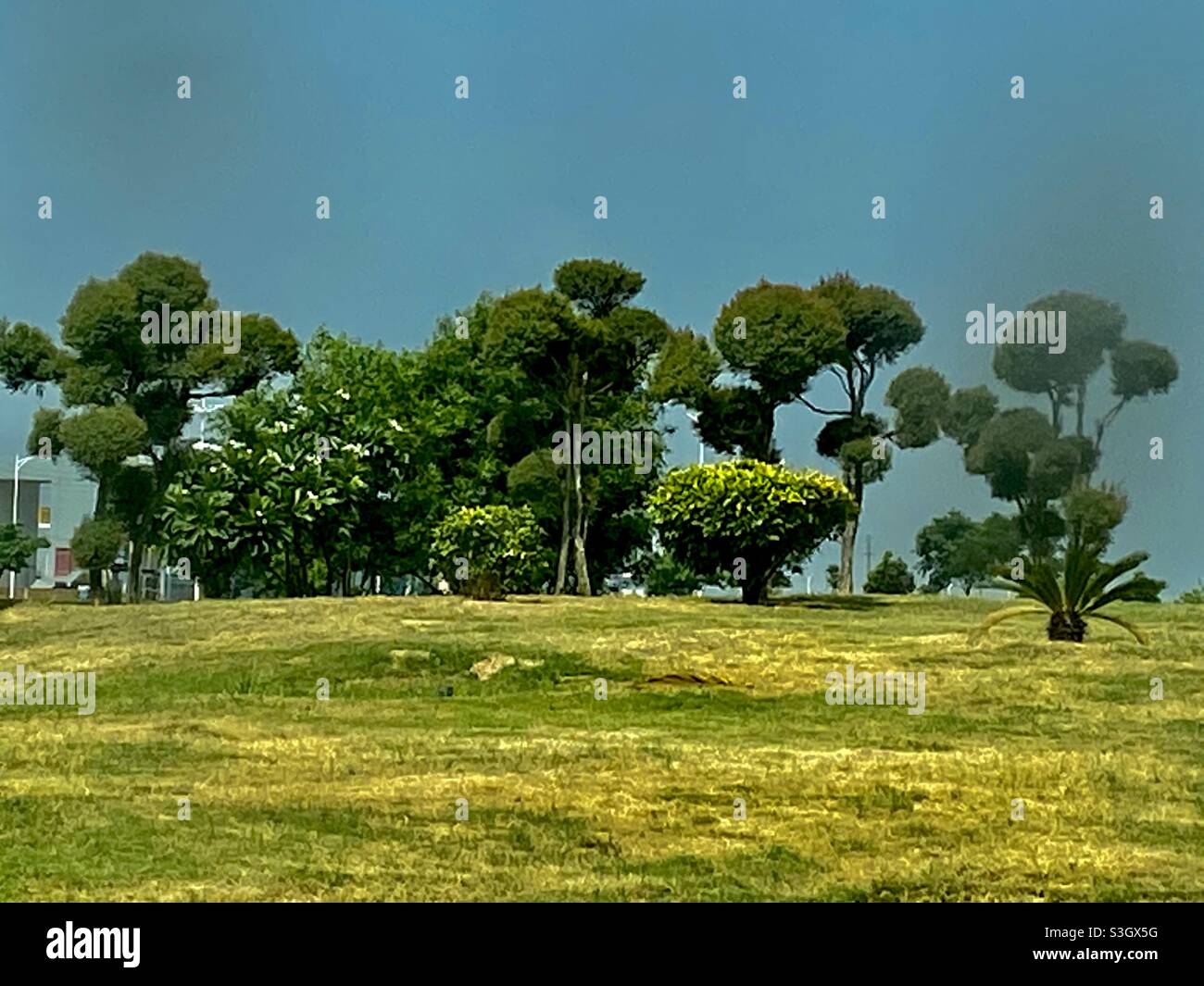 Greenery grass hi-res stock photography and images - Alamy
