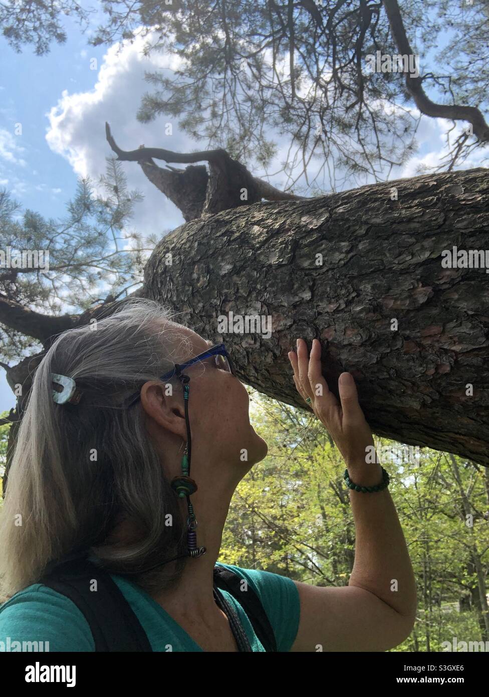 A woman connecting with a tree Stock Photo - Alamy
