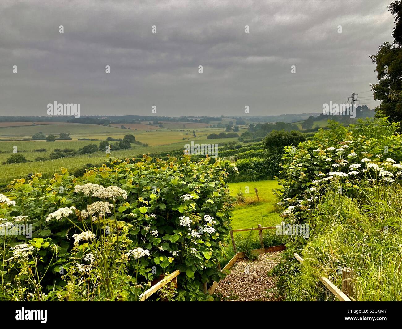 Tibbs farm hi-res stock photography and images - Alamy