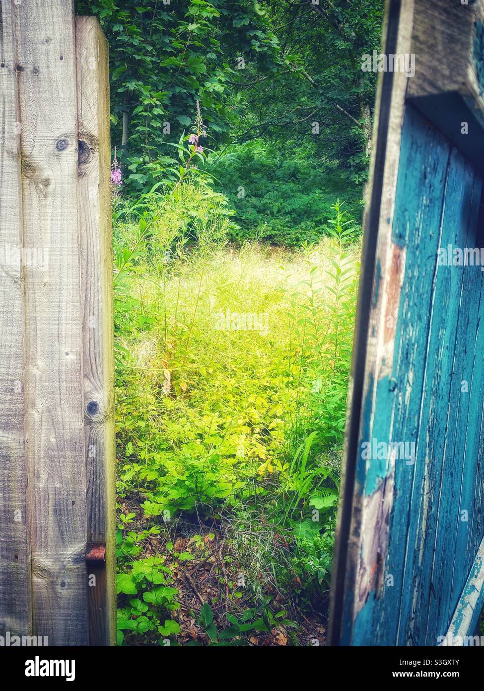 A photograph of an overgrown path, looking out through a gateway into ...