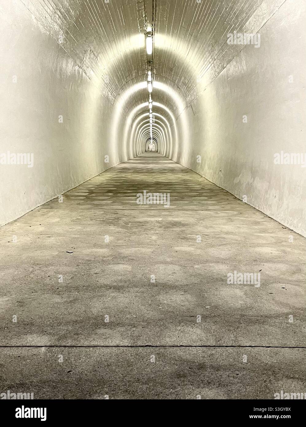 The tunnel leading to the Durie Hill elevator in Whanganui New Zealand ...