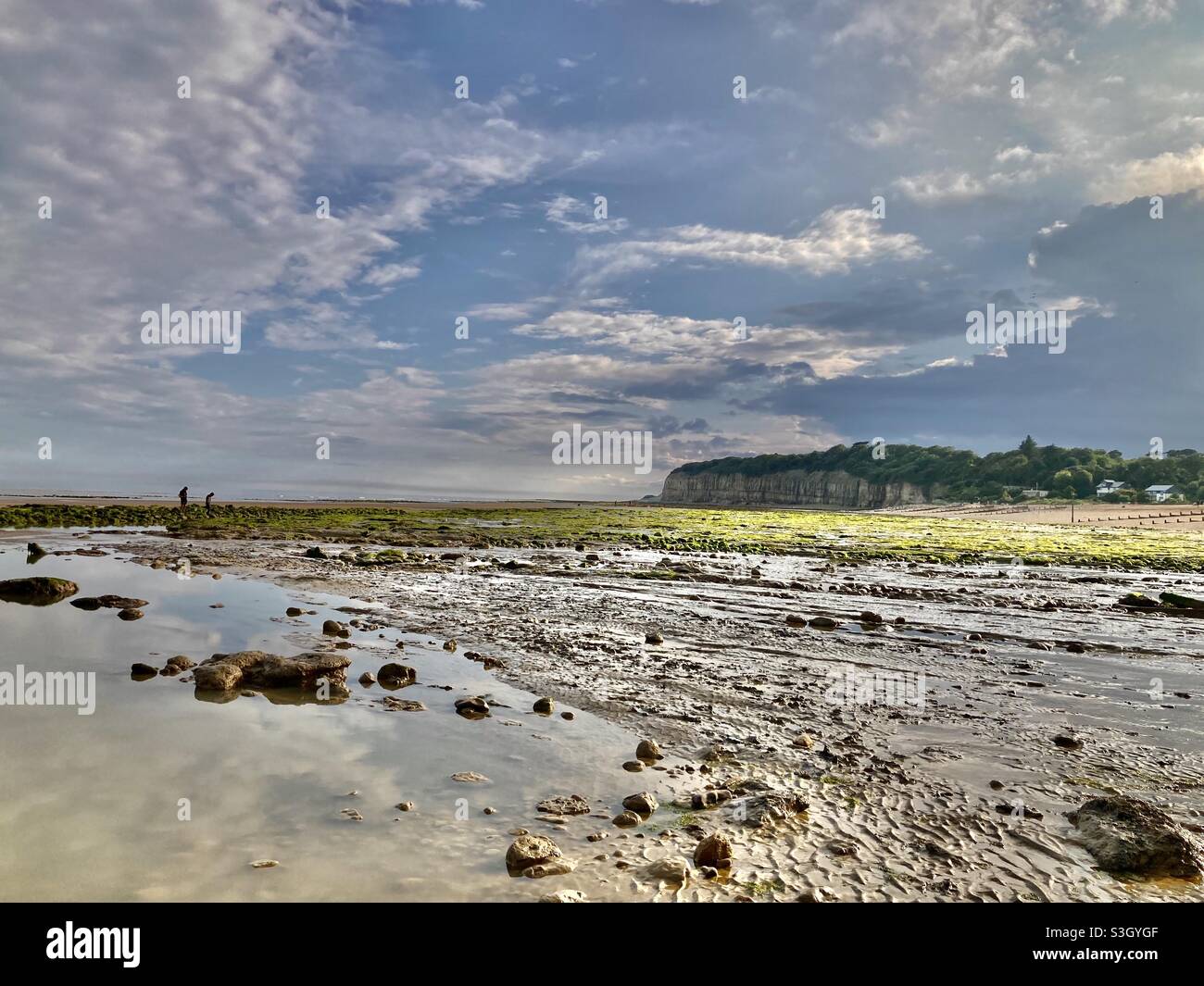 Pett level sussex hi-res stock photography and images - Alamy