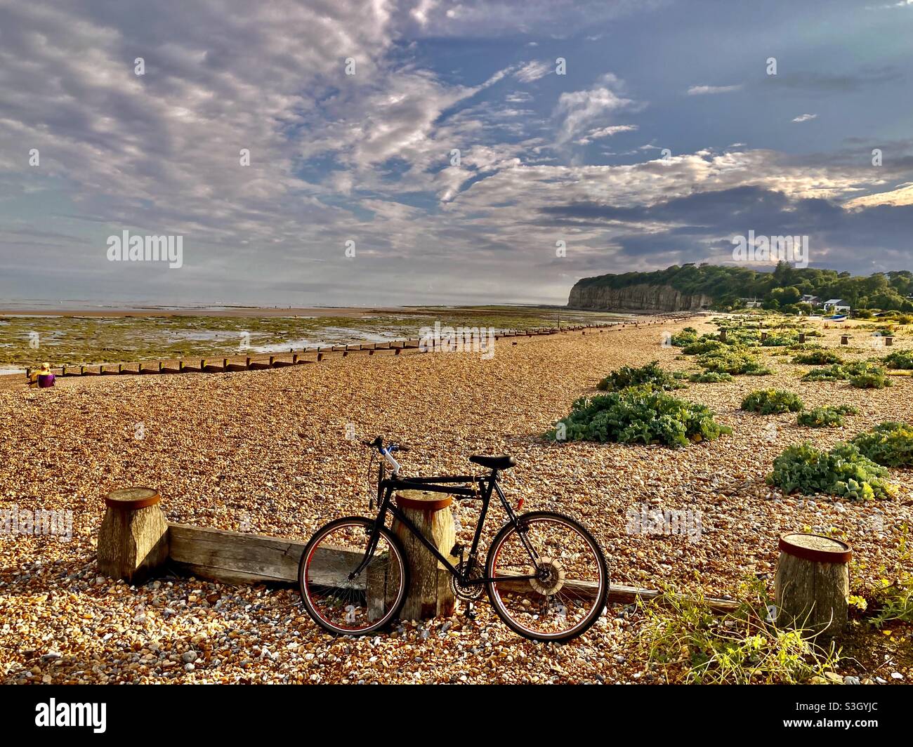 Pett level, east sussex hi-res stock photography and images - Alamy