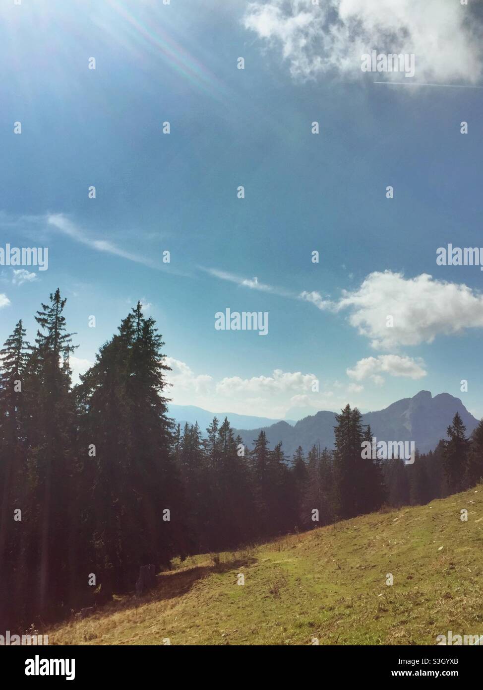 Landscape in the Bavarian Alps in Germany Stock Photo - Alamy