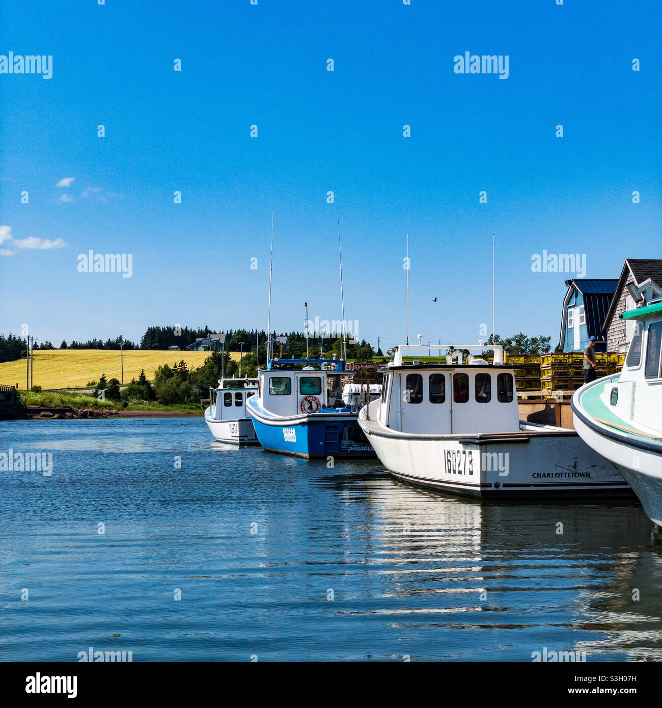Lobster fishing boats tied up to a wharf in rural Prince Edward Island ...