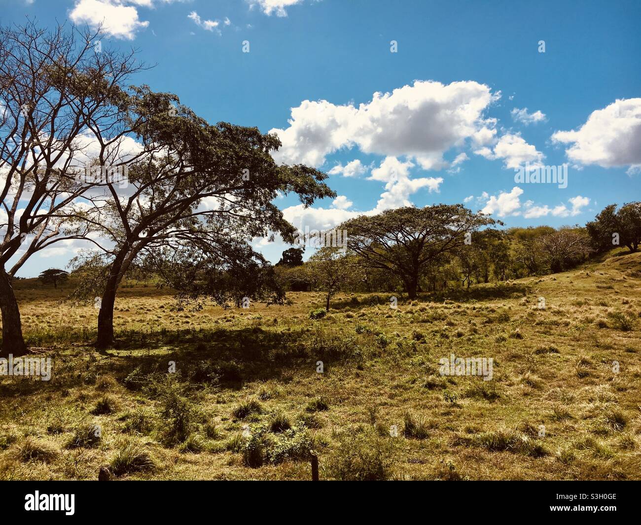 Cuba travelers hi-res stock photography and images - Alamy
