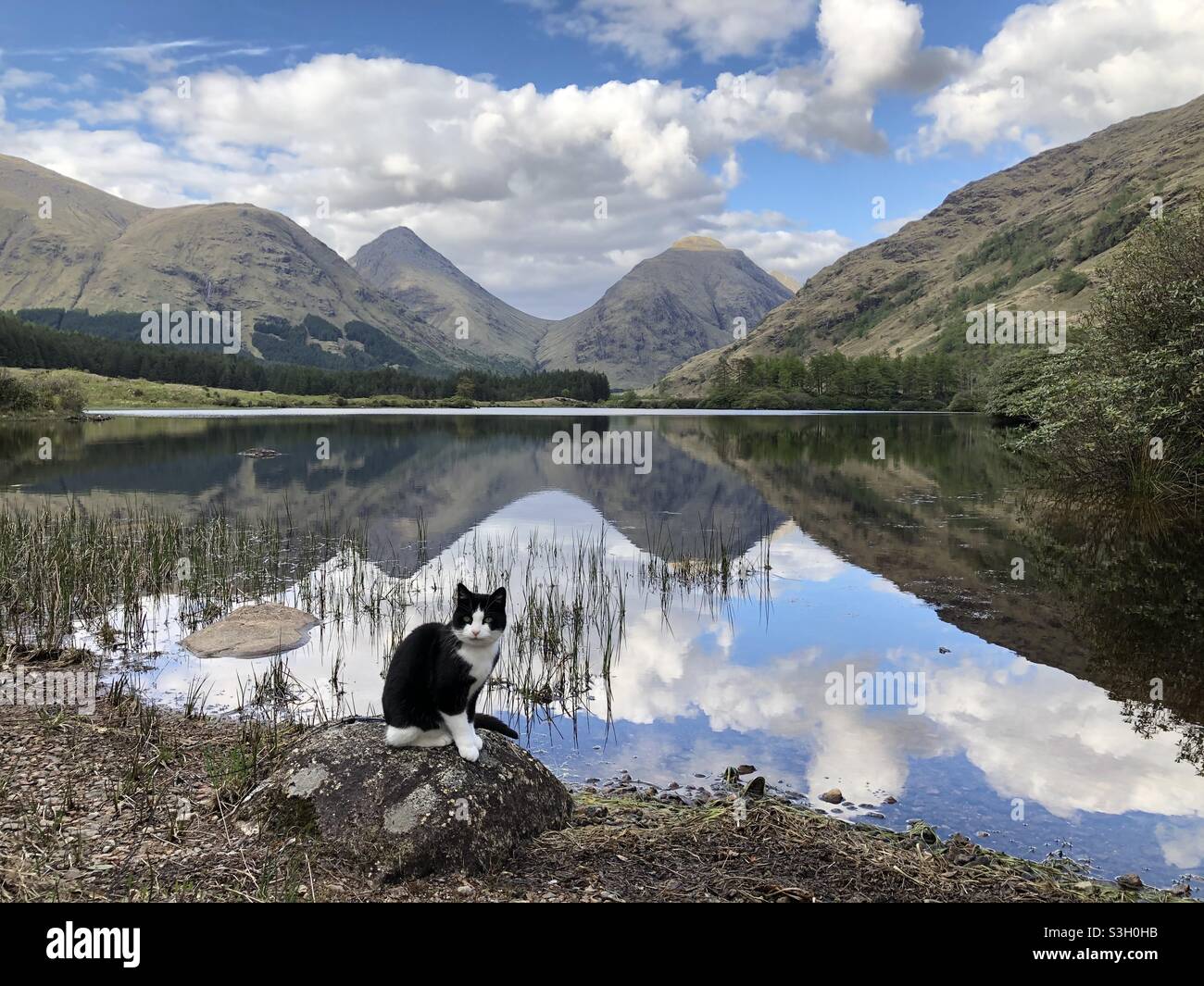 Lochan urr hi-res stock photography and images - Alamy