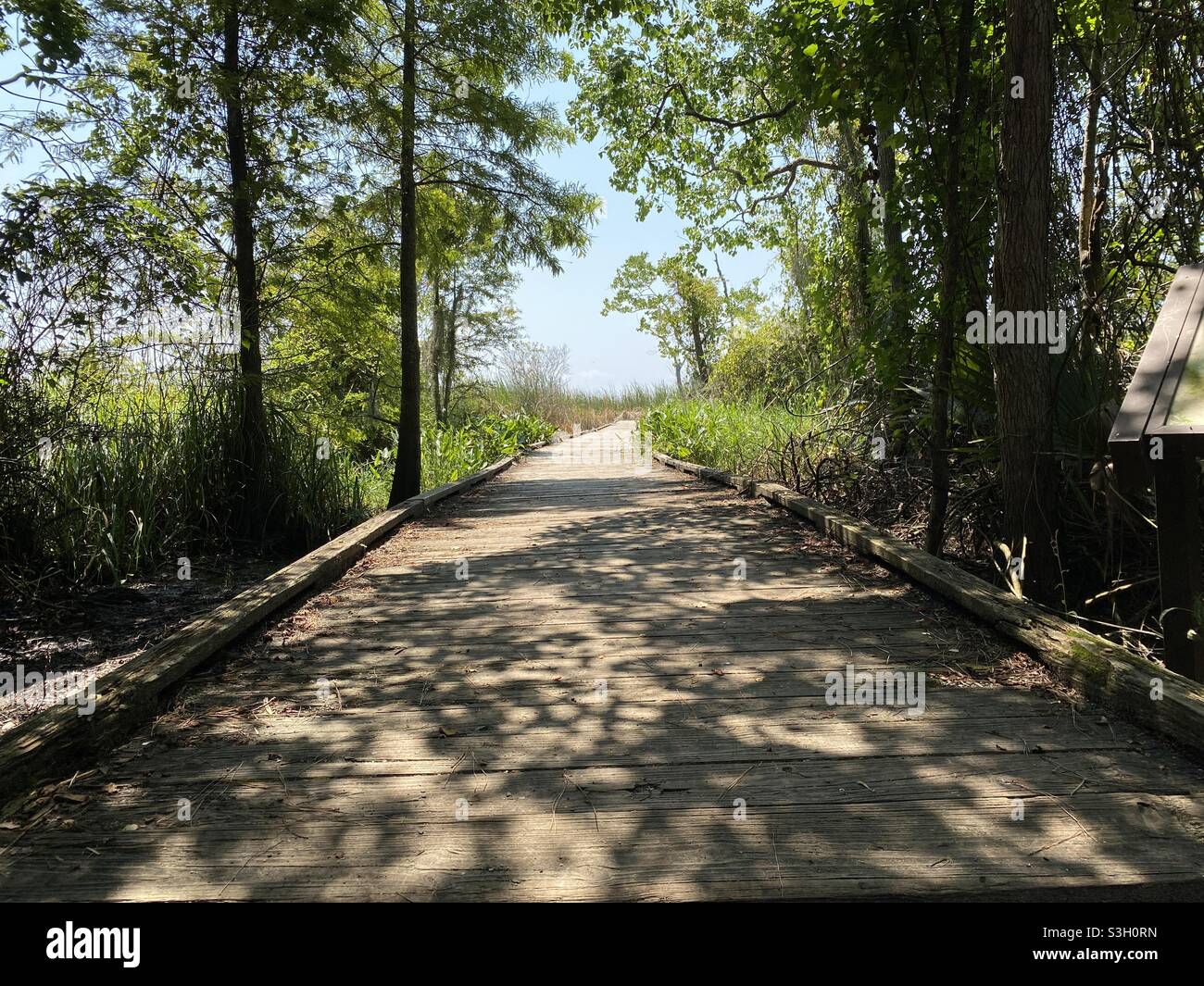 Alligator trail hi-res stock photography and images - Alamy