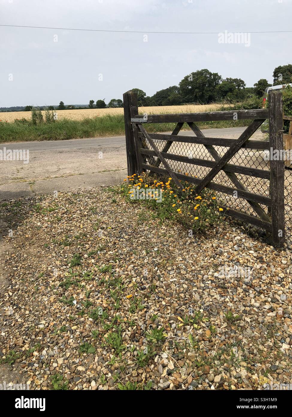 Corn field gate hi-res stock photography and images - Alamy