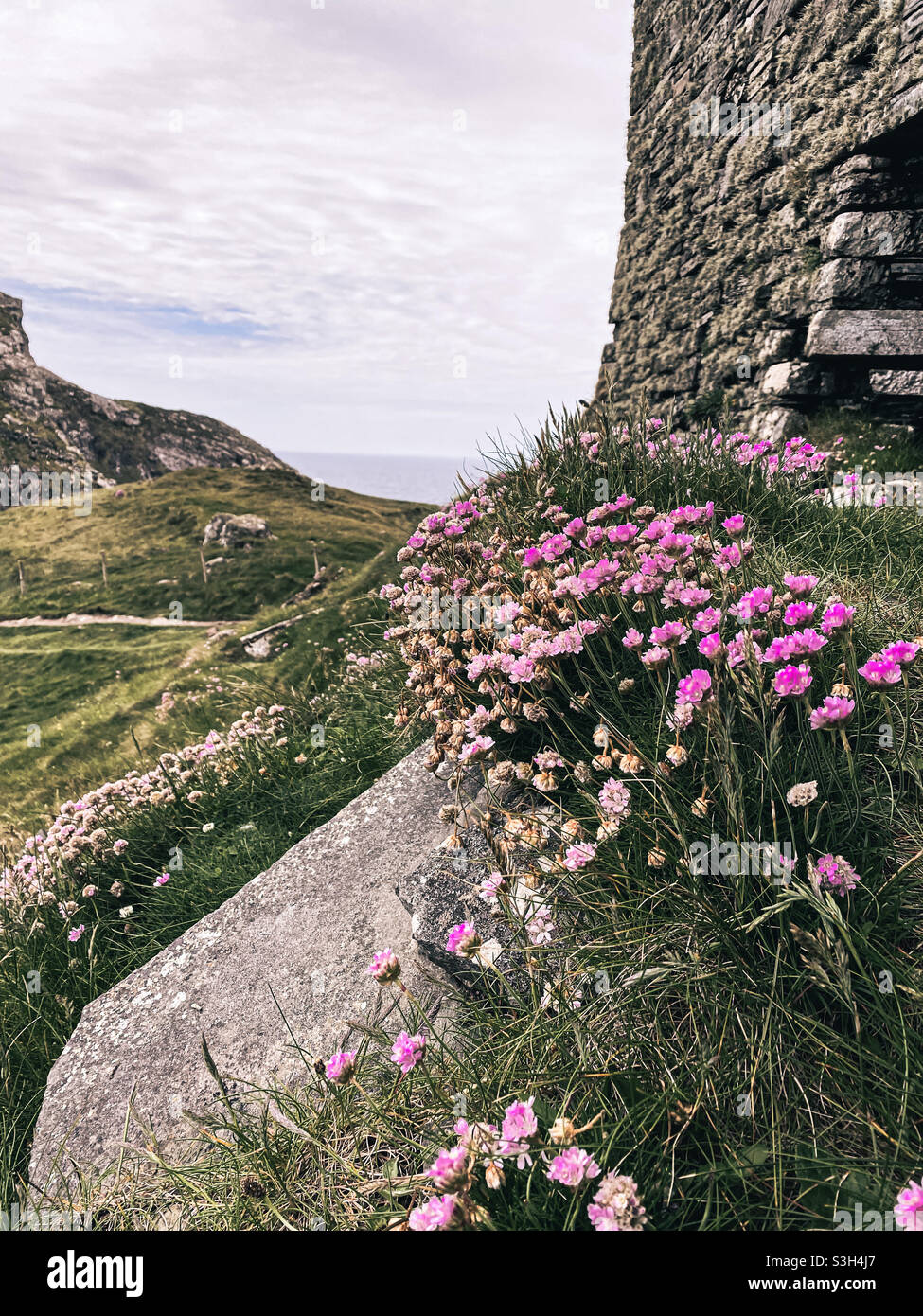 Three castle head cork hi-res stock photography and images - Alamy