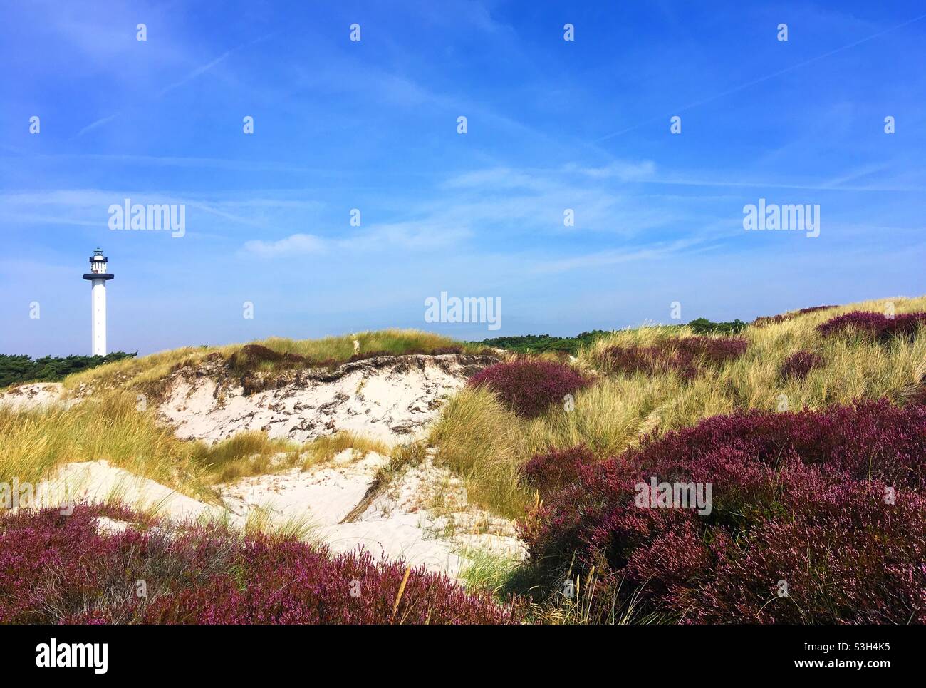 Dueodde lighthouse hi-res stock photography and images - Alamy