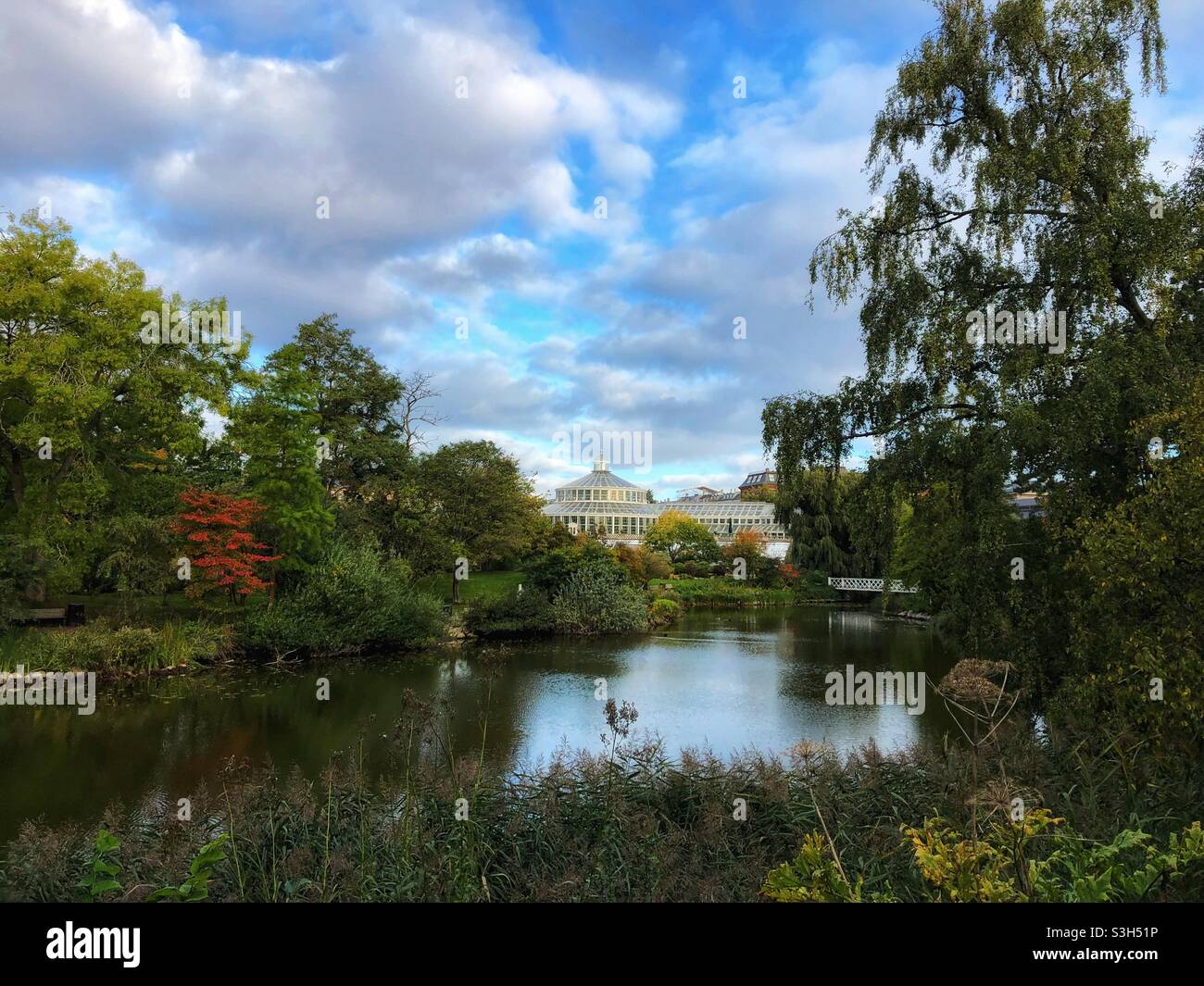 Botanical Garden, University of Copenhagen, Denmark Stock Photo - Alamy