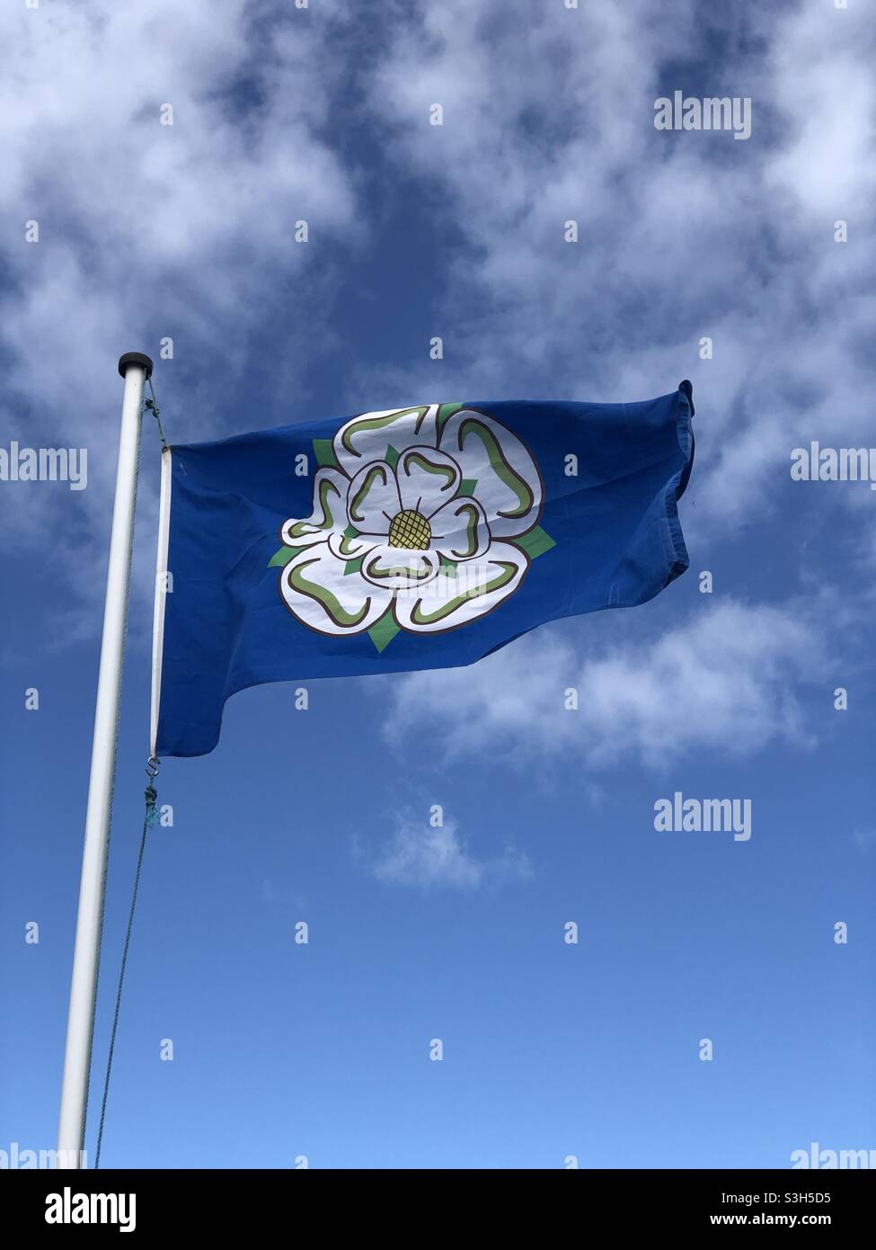 Flag of yorkshire hi-res stock photography and images - Alamy