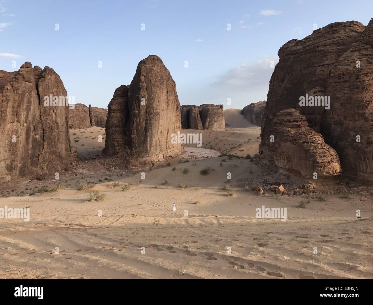 Alula hi-res stock photography and images - Alamy