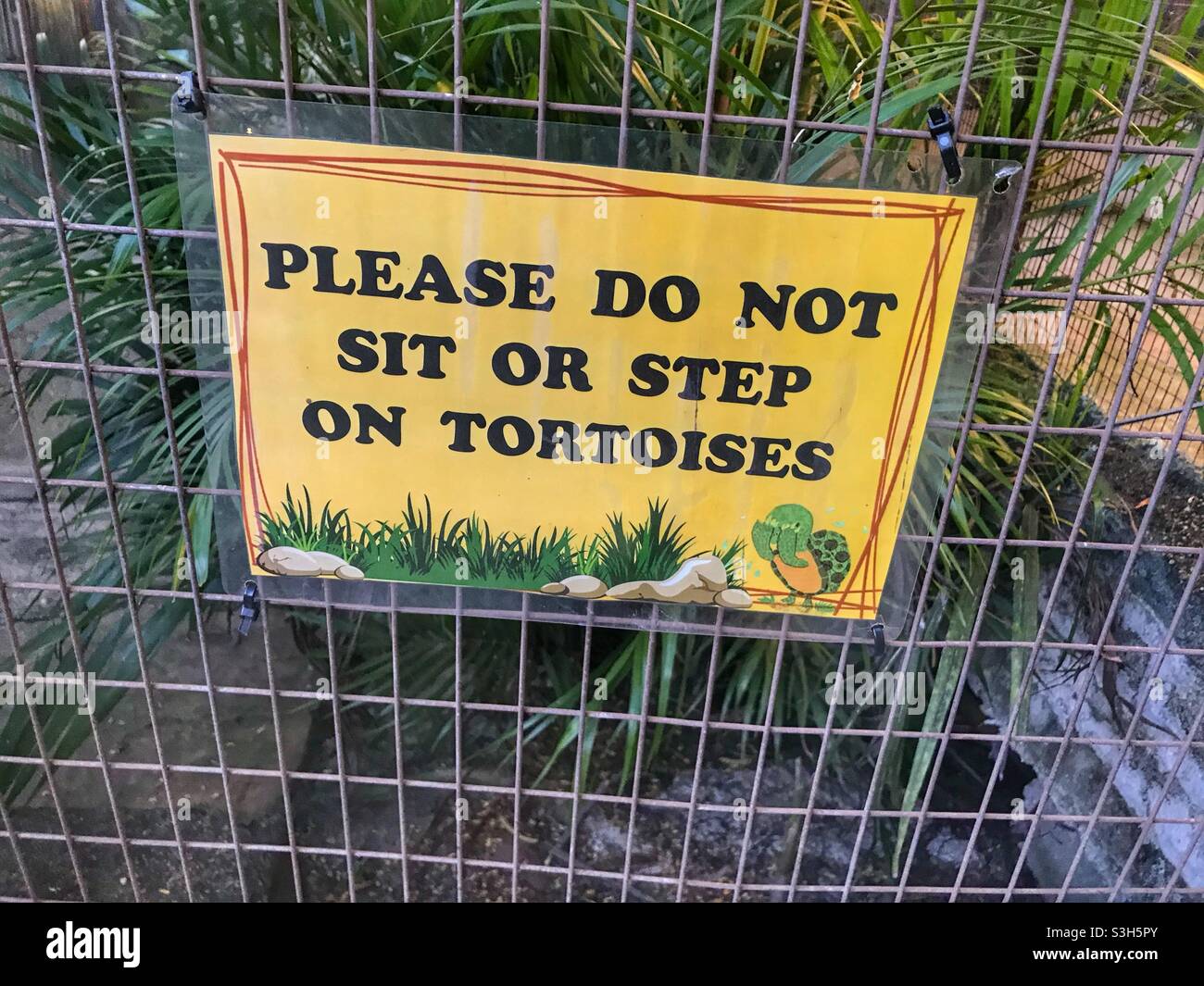 Warning sign - please do not sit or step on tortoises Stock Photo - Alamy