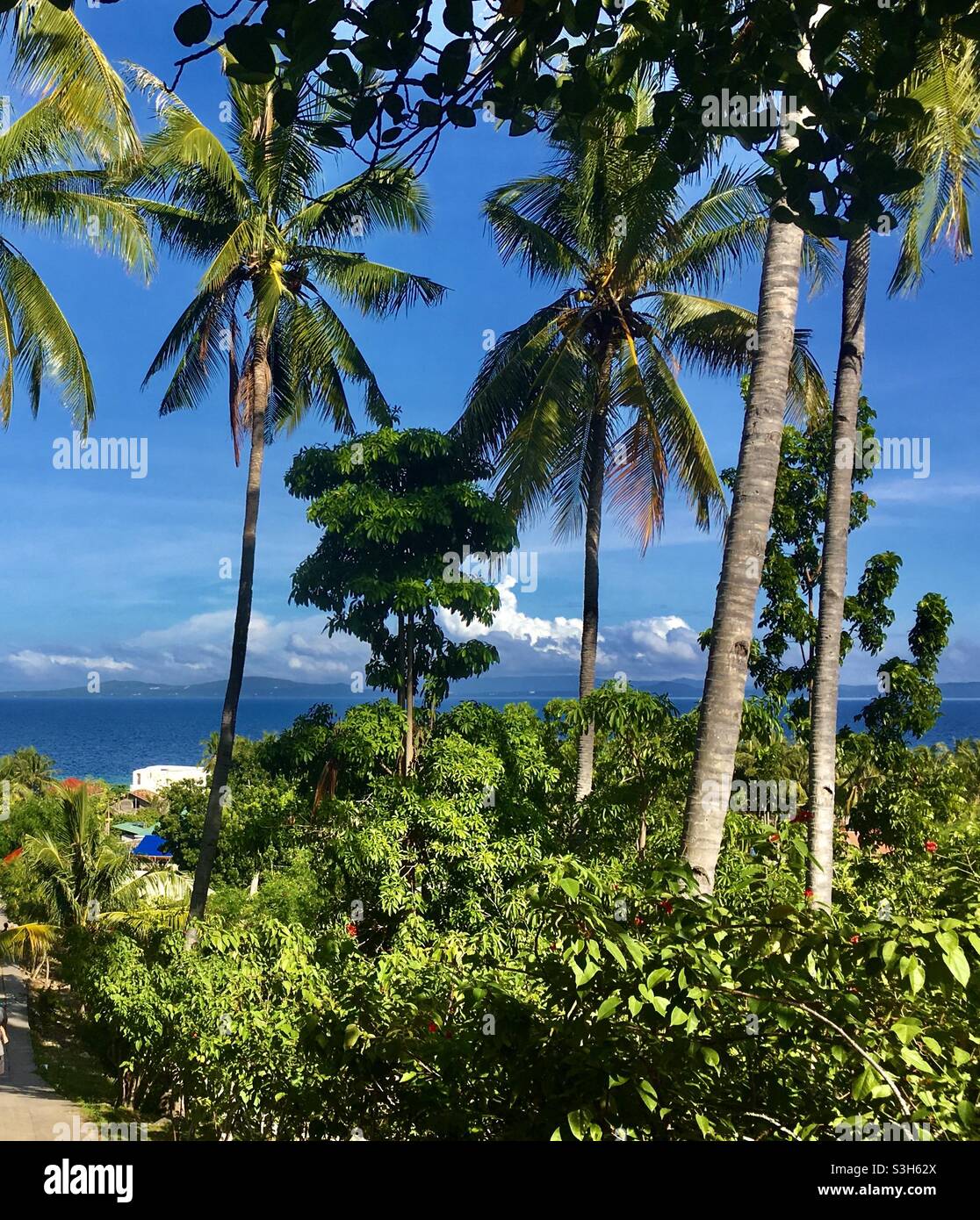 Pamilacan island hi-res stock photography and images - Alamy