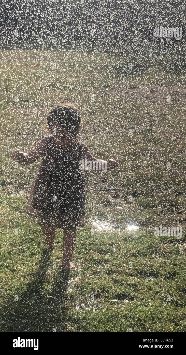 Sprinkler raining hi-res stock photography and images - Alamy