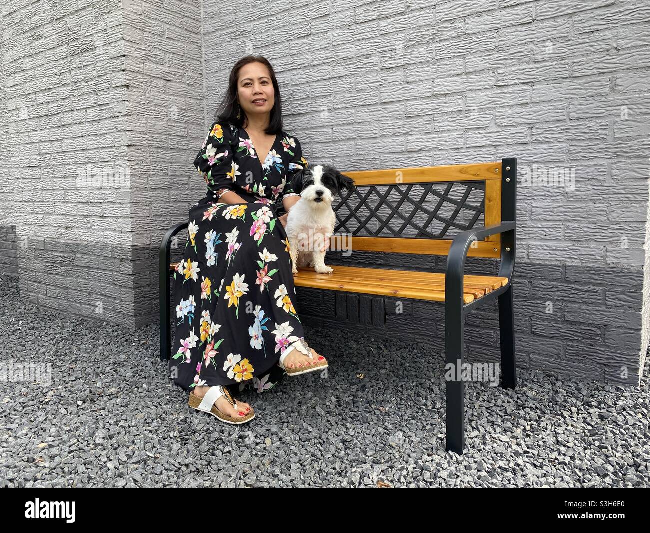 Lady slippers hi-res stock photography and images - Alamy