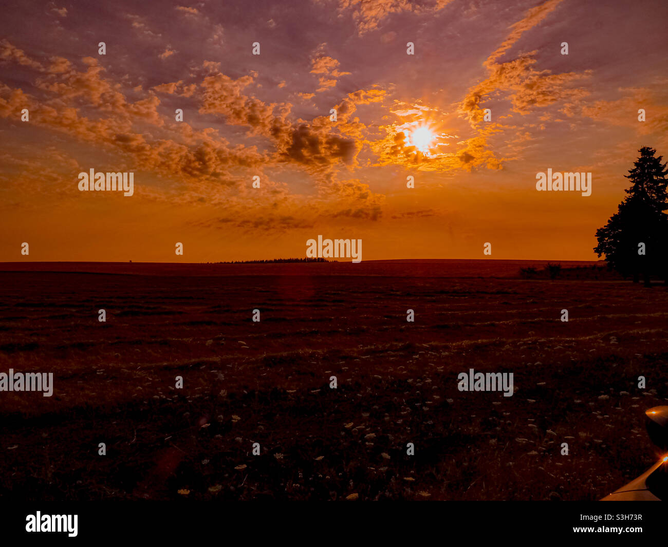 Sunrise over a freshly mowed field of hay Stock Photo - Alamy