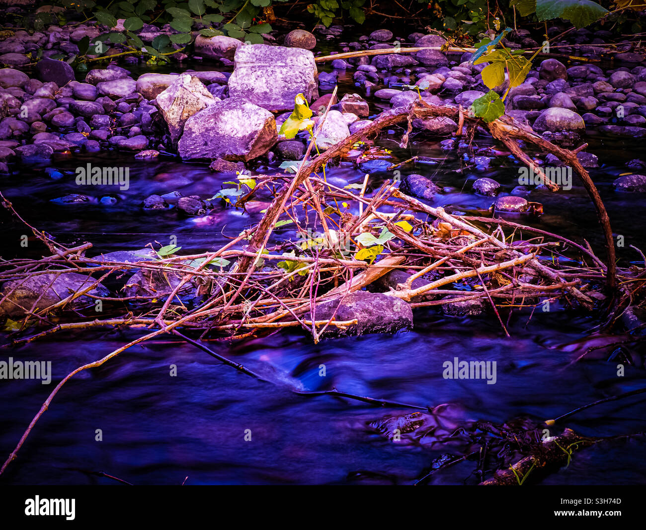 Fairy gate to the realm of the water faerie Stock Photo - Alamy