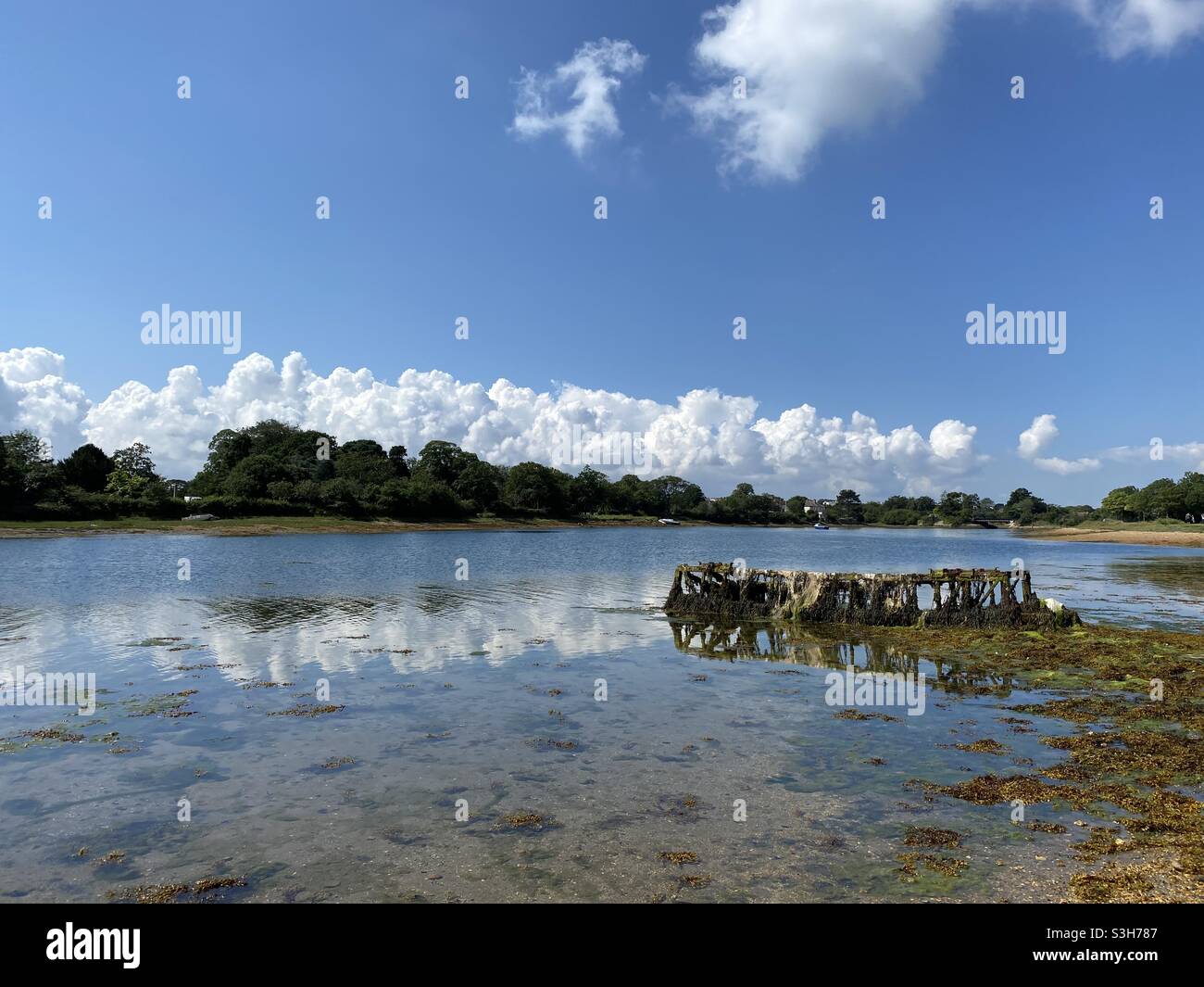 Creek reflections hi-res stock photography and images - Alamy