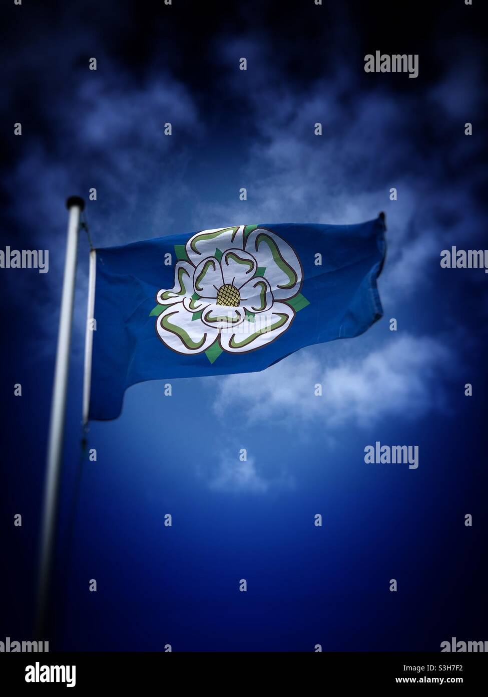 White rose flag hi-res stock photography and images - Alamy
