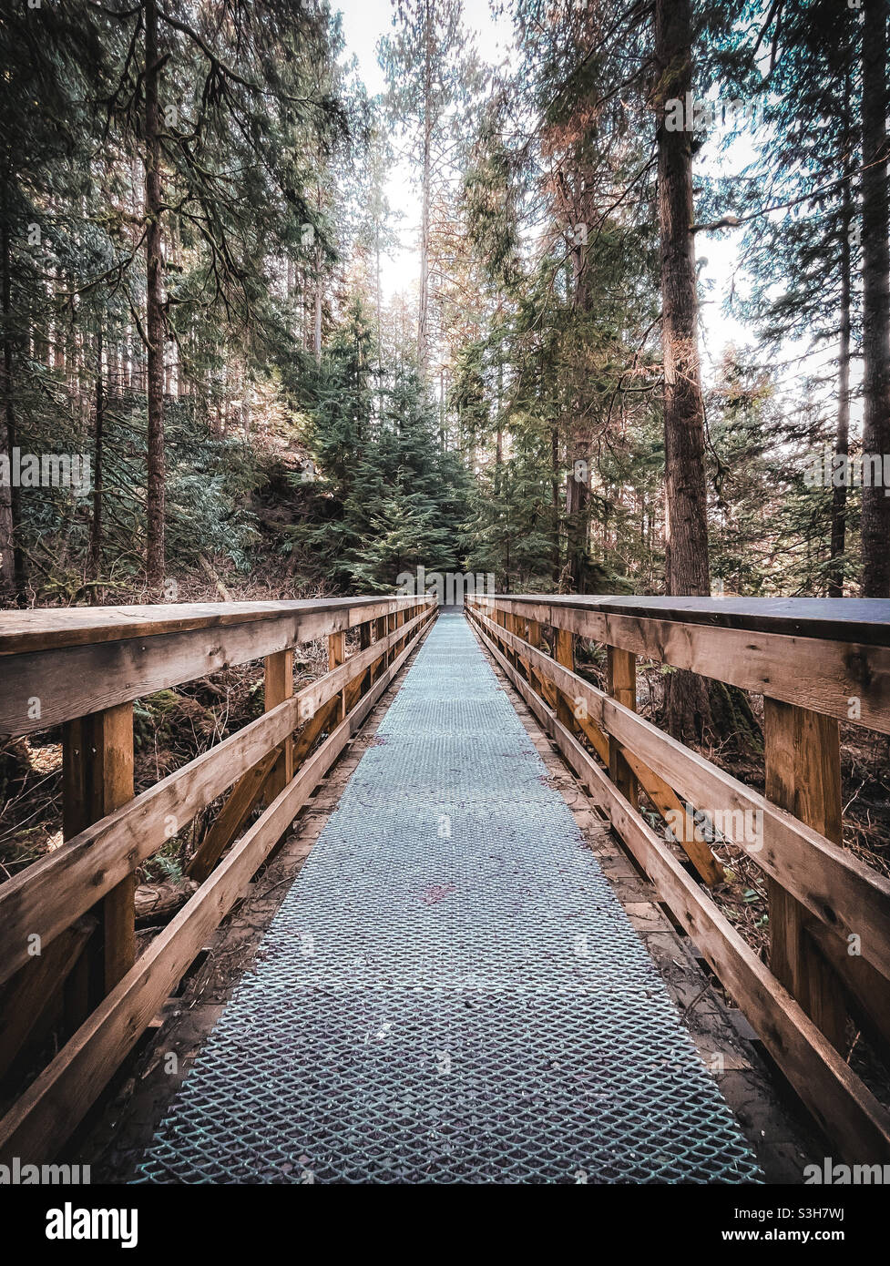 Metal grate bridge hi-res stock photography and images - Alamy