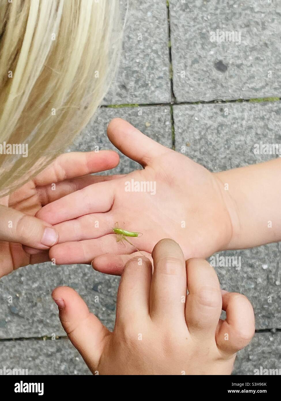 Children toddlers hi-res stock photography and images - Alamy