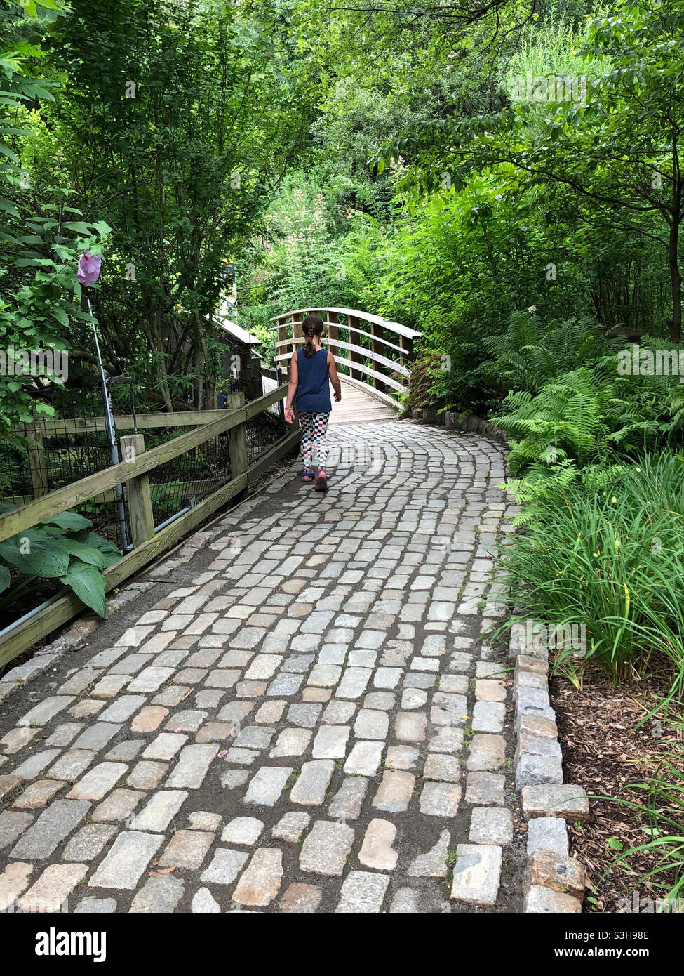 Little girl walking down a scenic cobblestone pathway Stock Photo - Alamy