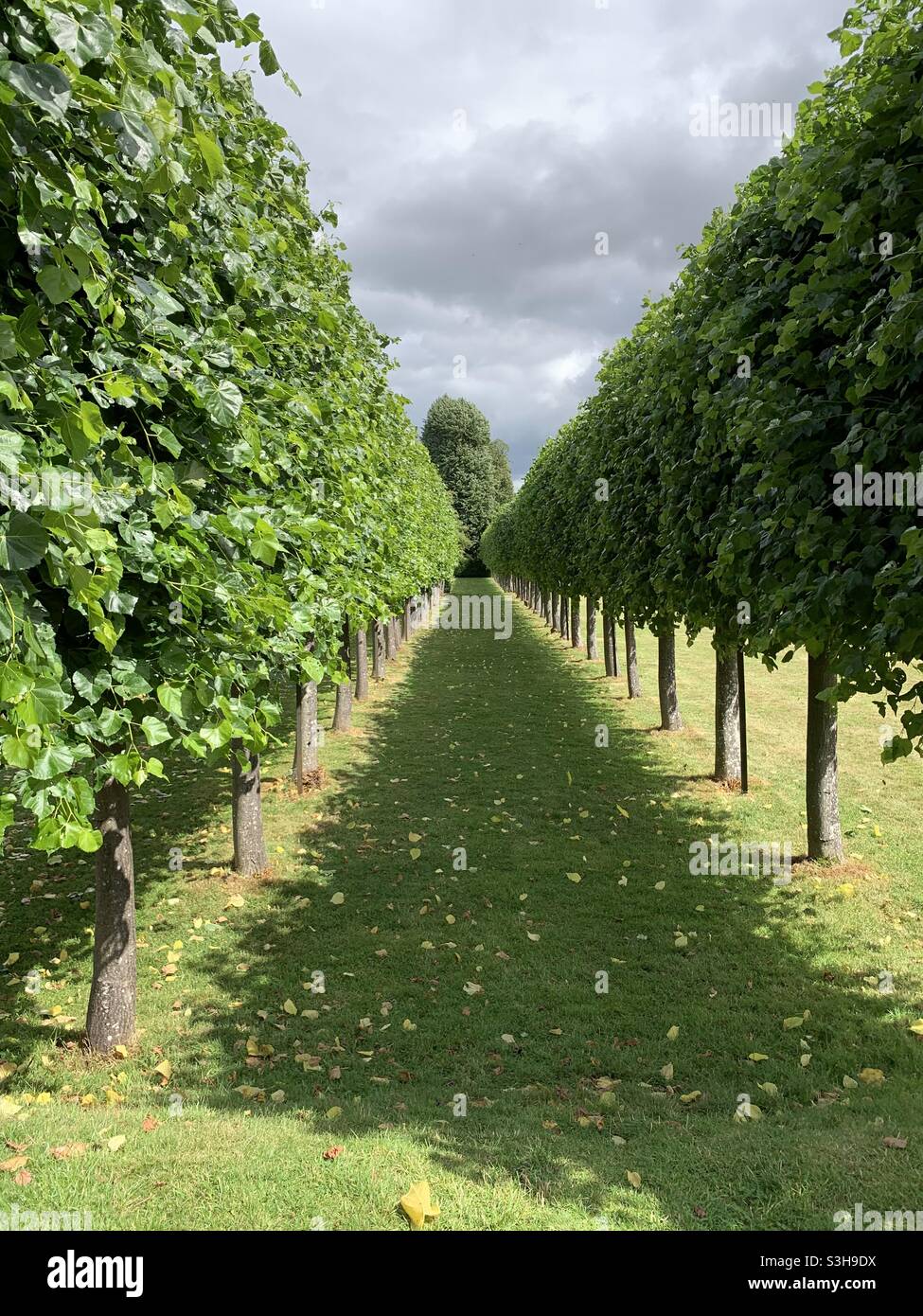 Erddig house hi-res stock photography and images - Alamy