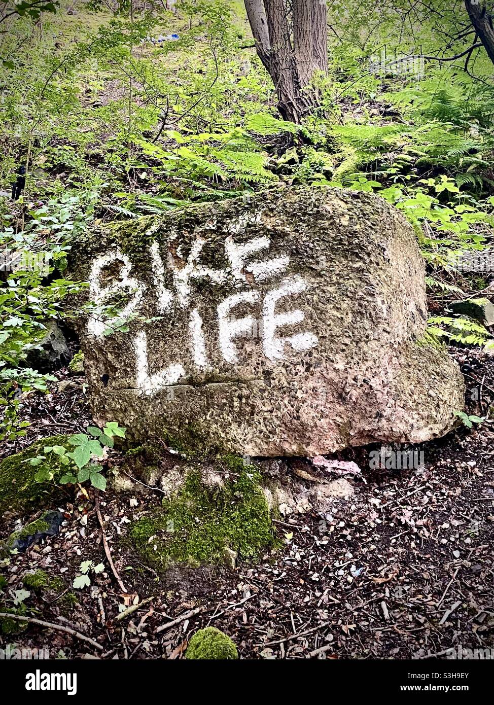 Bike on rock hi-res stock photography and images - Alamy