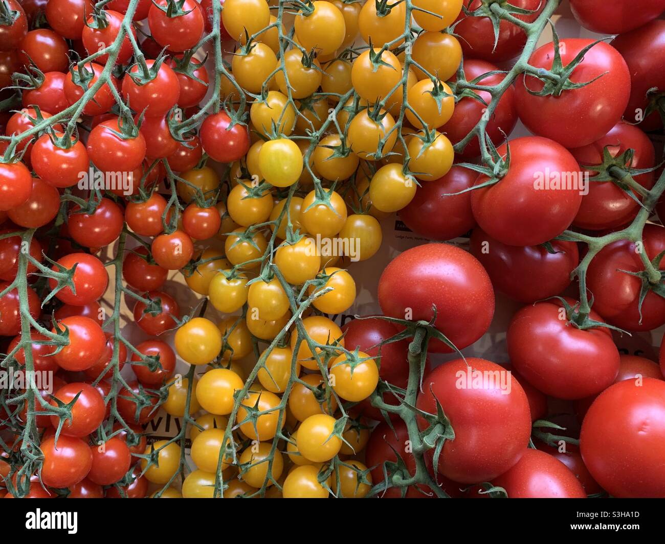 Tomatoes in a supermarket hi-res stock photography and images - Alamy