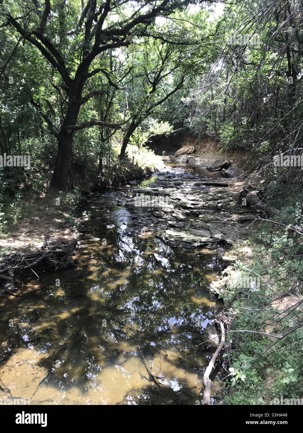 Creekbed hi-res stock photography and images - Alamy