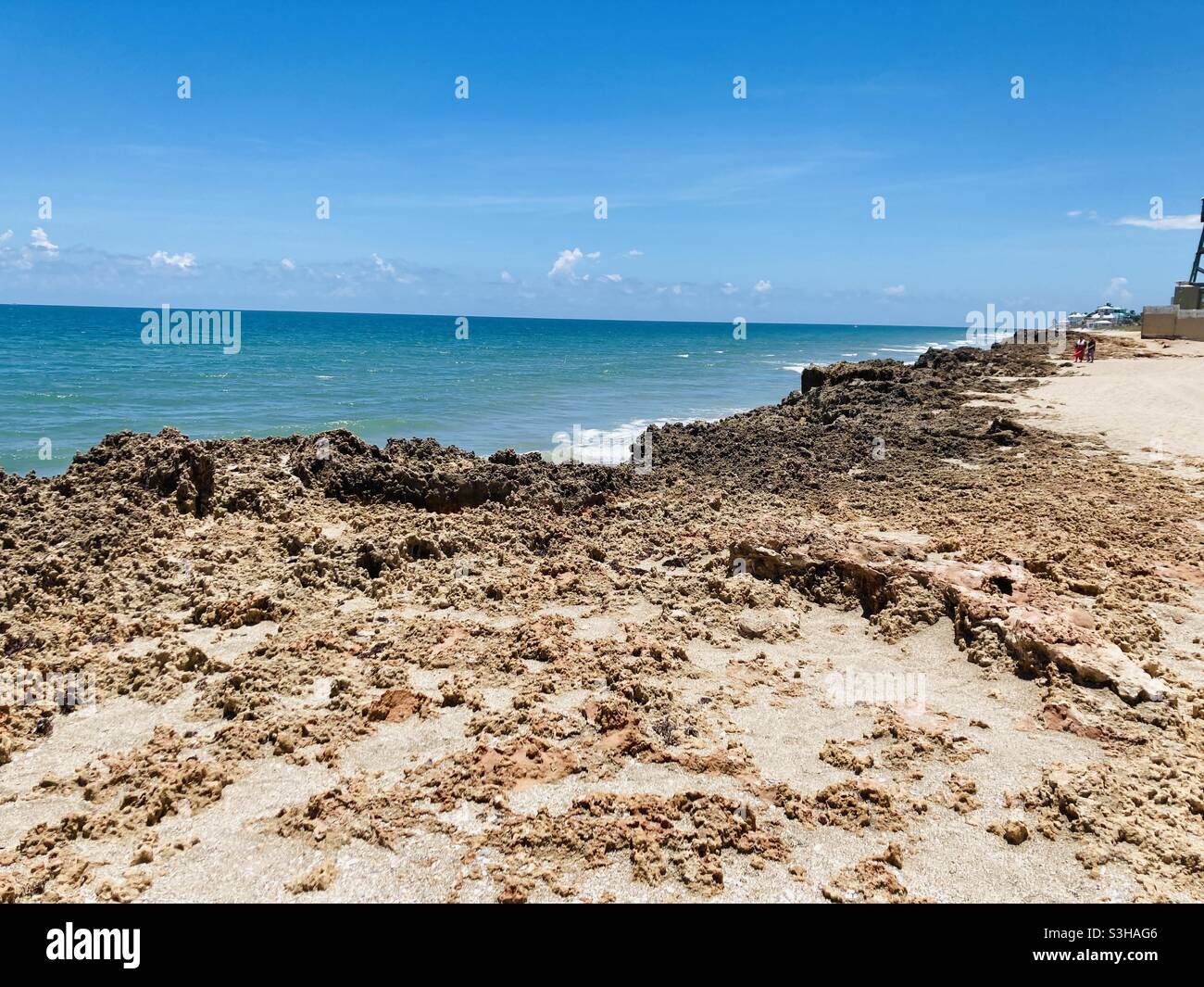 Florida Shoreline Cliffs Stock Photo - Alamy