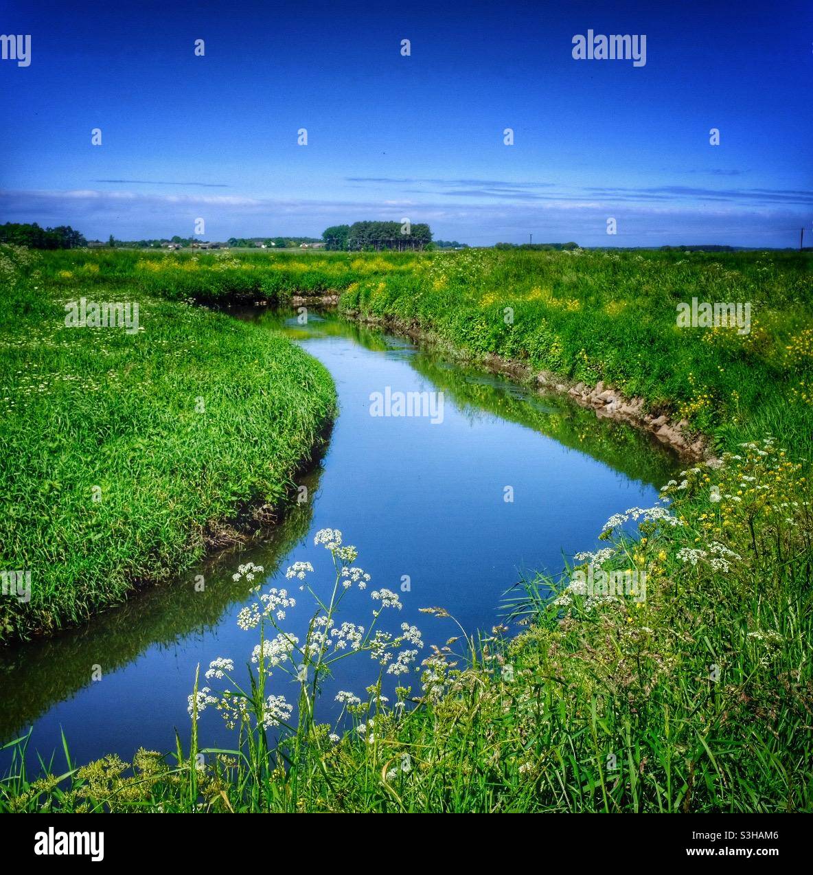 Winding River With Flowers Stock Photo - Alamy