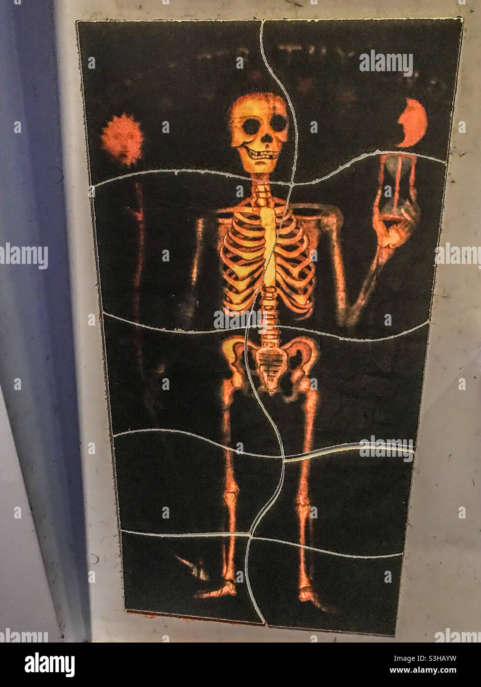 Skeleton jigsaw in the People’s History Museum, Manchester Stock Photo ...