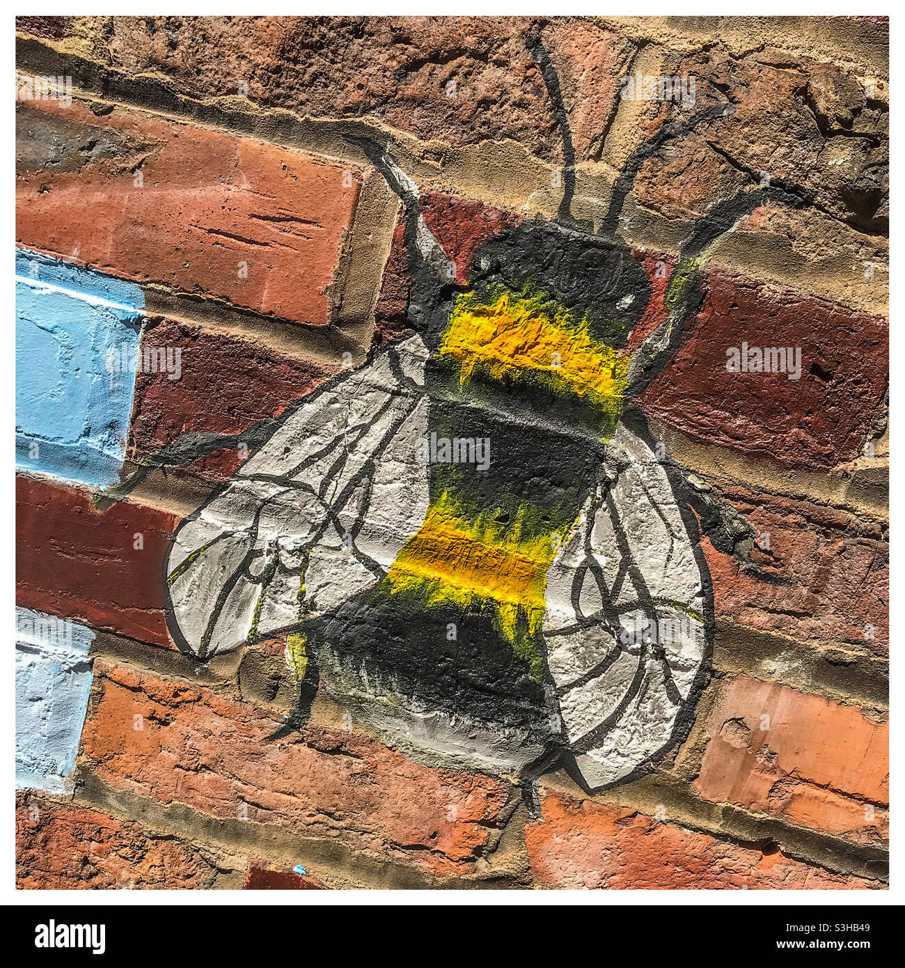 Bee on a Wall Street art Stock Photo - Alamy