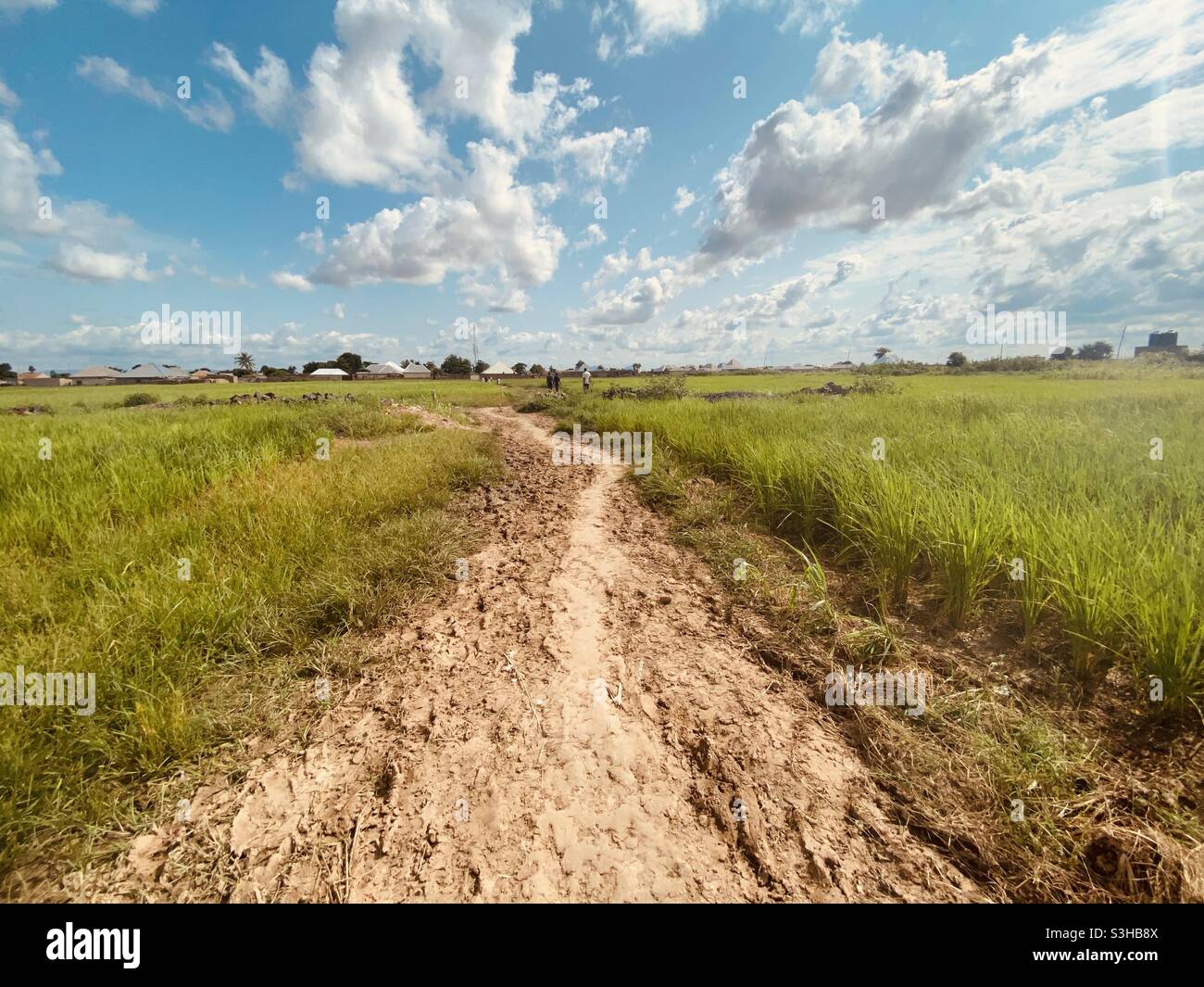 Yola nigeria hi-res stock photography and images - Alamy