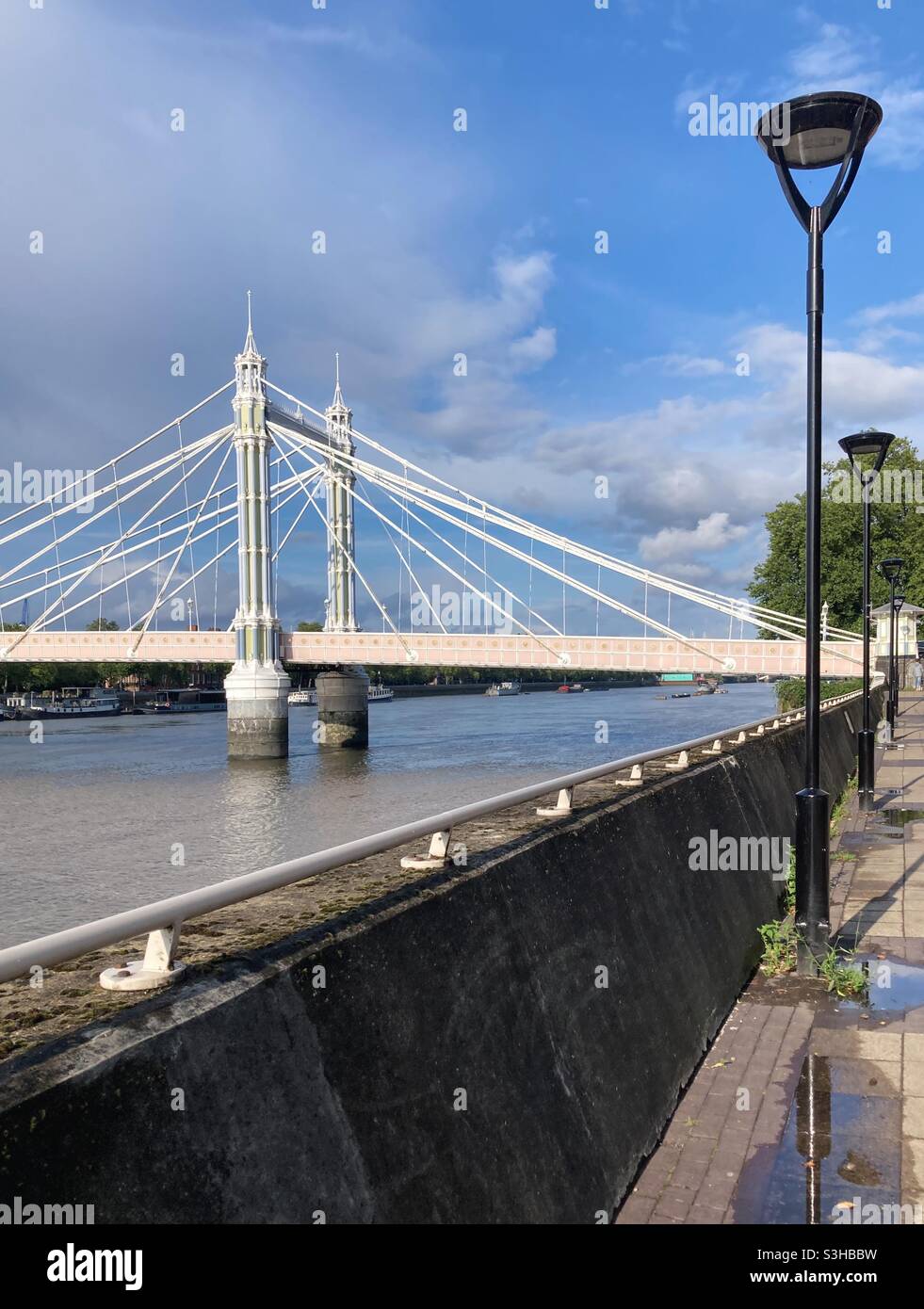 Albert Bridge, London, viewed from the south bank Stock Photo - Alamy