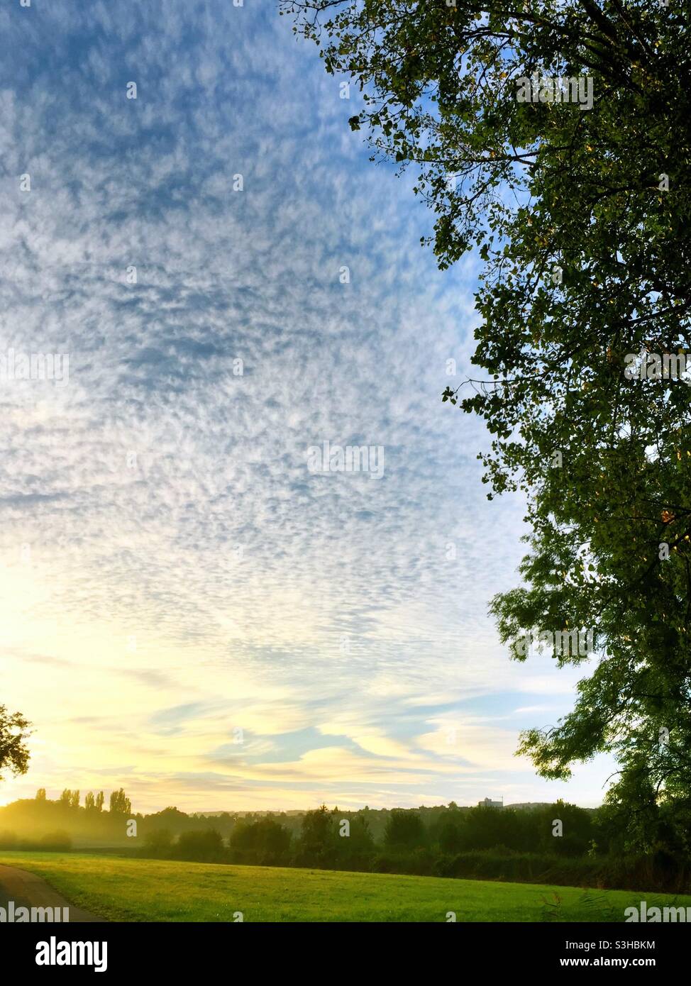Beautiful rural landscape in the morning sunrise Stock Photo - Alamy