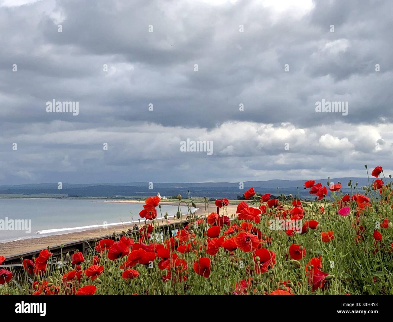 Fortrose beach hi-res stock photography and images - Alamy