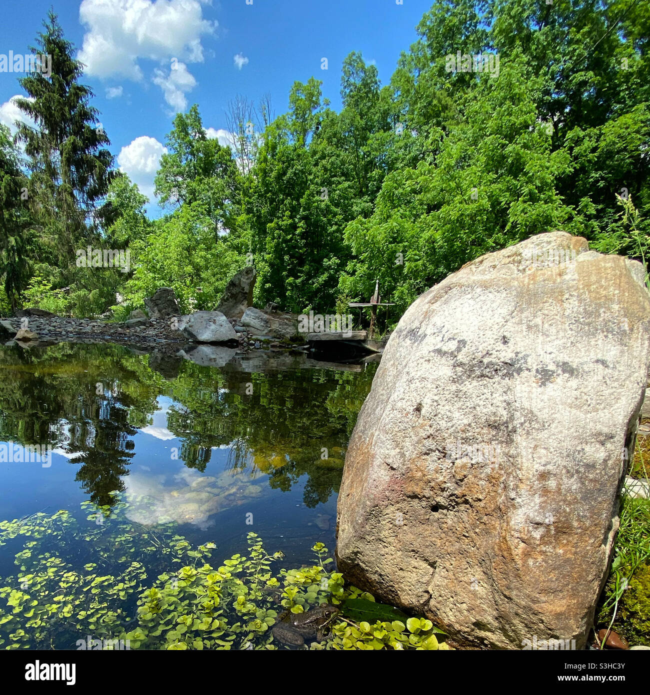 Life ponds hi-res stock photography and images - Alamy