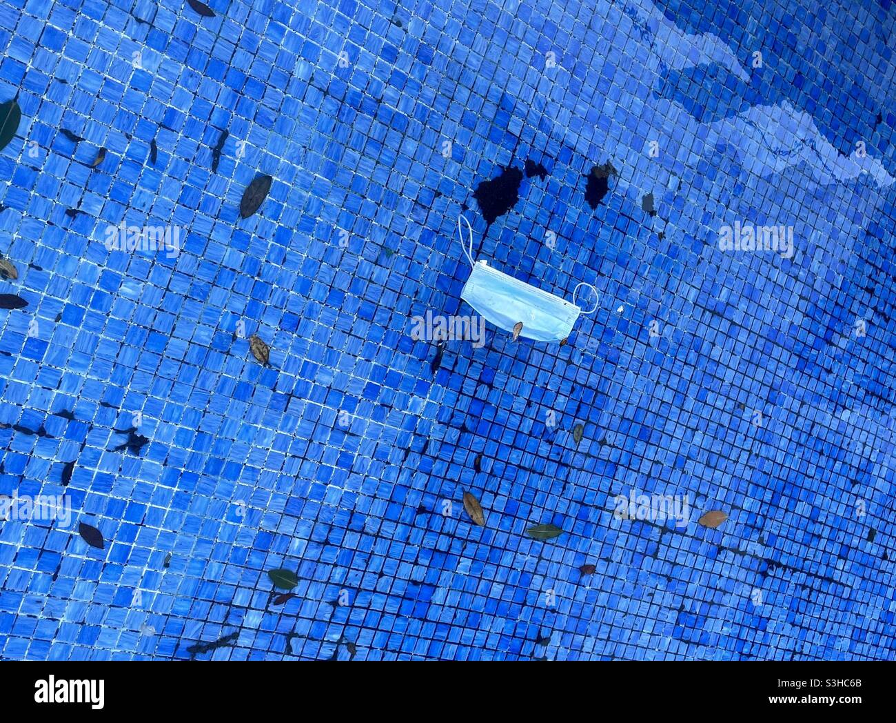 A discarded medical face mask floats in a public water feature in New ...