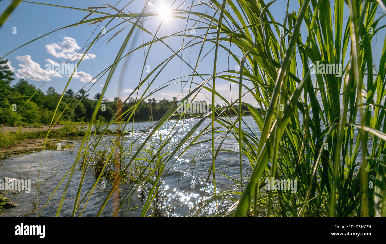 Grass water sun hi-res stock photography and images - Alamy