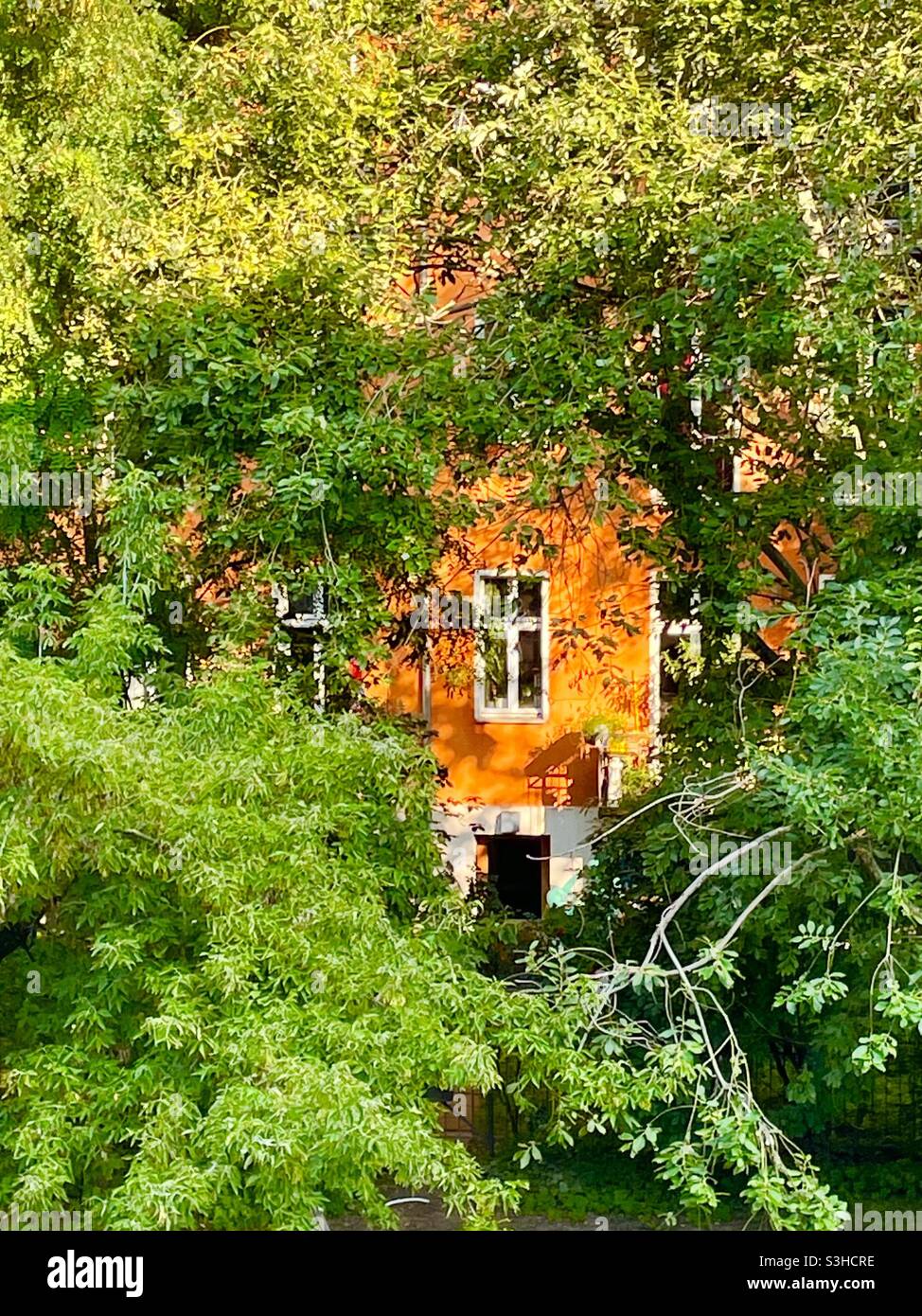 Bright orange building peeking through lush greenery Stock Photo - Alamy